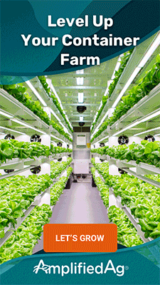 Vertical farming in India