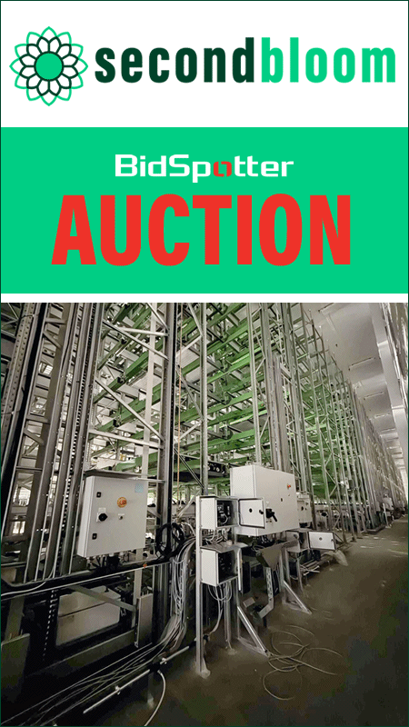 The effects of artificial lighting on hydroponic wheat growth