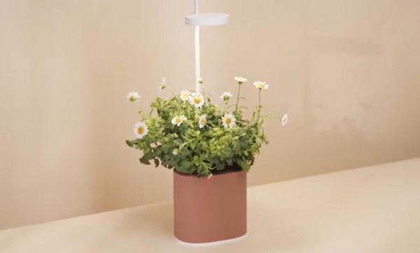 Nano Garden: a smart garden for growing flowers indoors