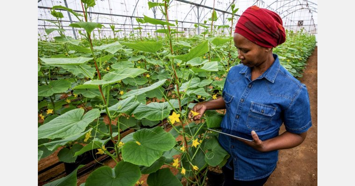 Agri-food sector needs to work on Due Diligence, says WUR