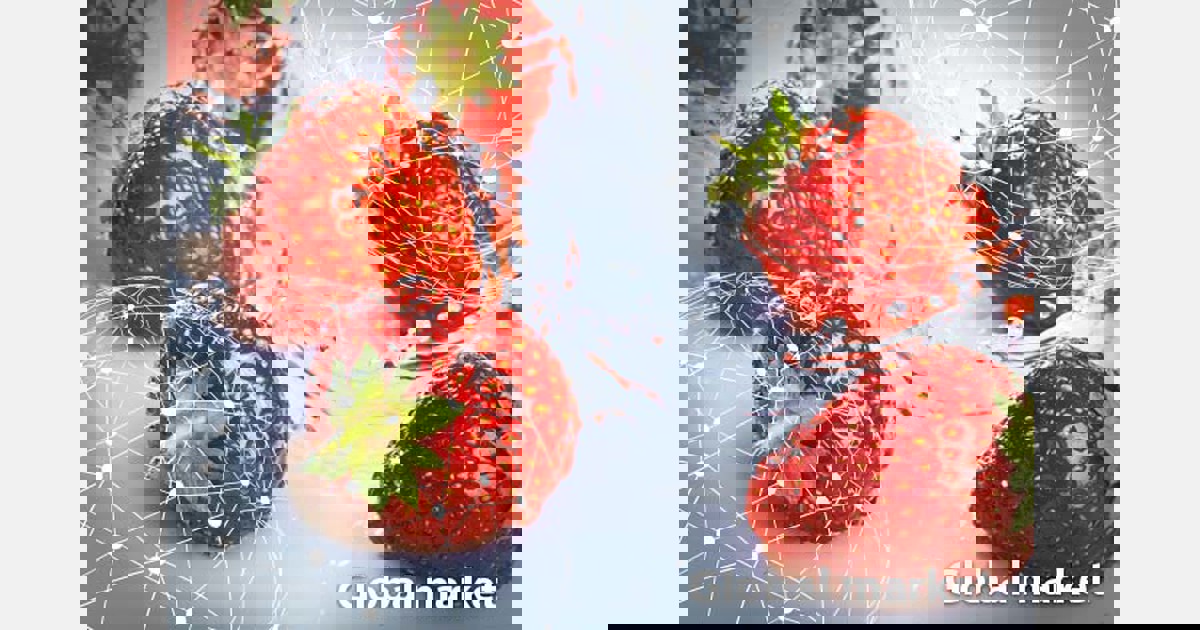 GLOBAL OVERVIEW STRAWBERRIES