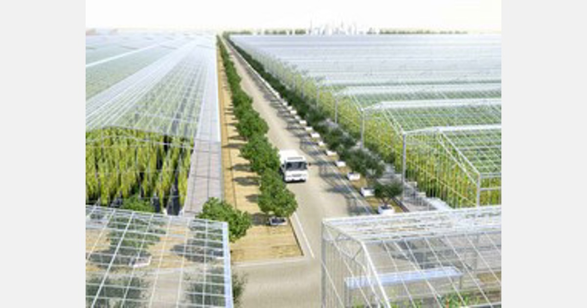 Saudi Arabia enters Guinness World Records with largest sustainable ...