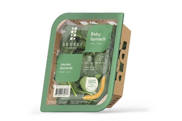 Baby spinach joins family of indoor-grown leafy greens