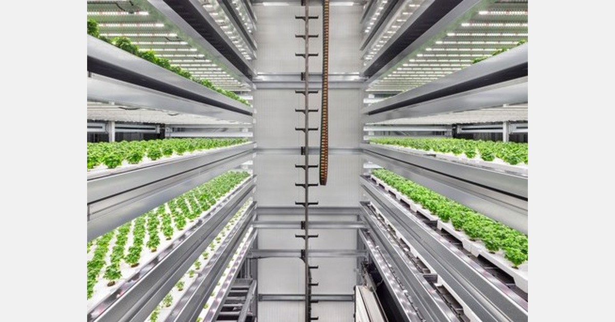 Scalable, sustainable, stable and global farming network