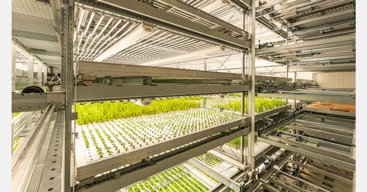 "Our cycle is CO2 negative"