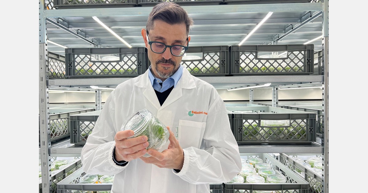New micropropagation lab to produce up to 24 million plants a year