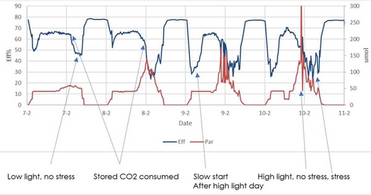 Lesson from masterclass: Crop lighting doesn't always work