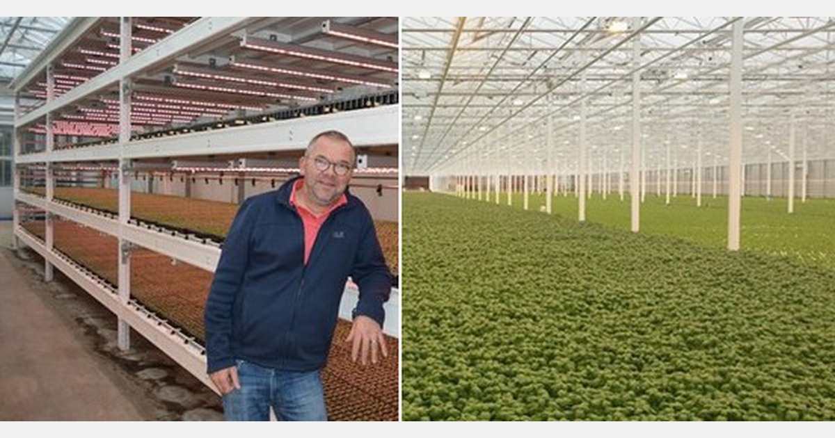 Dutch herb grower and partners pioneer cultivation on water