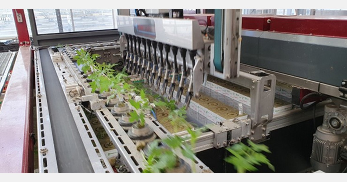 Automatic transplants for labor savings and quality improvement