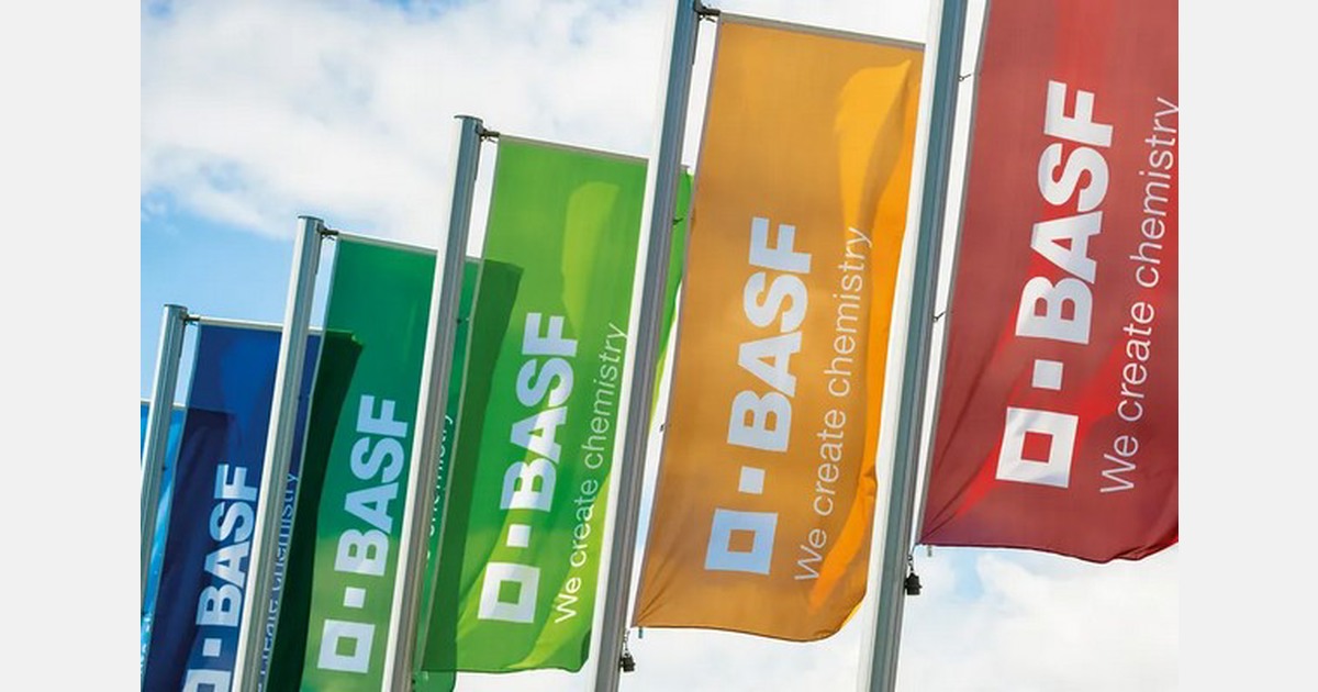 BASF to focus more on chemicals, agricultural branches more independent