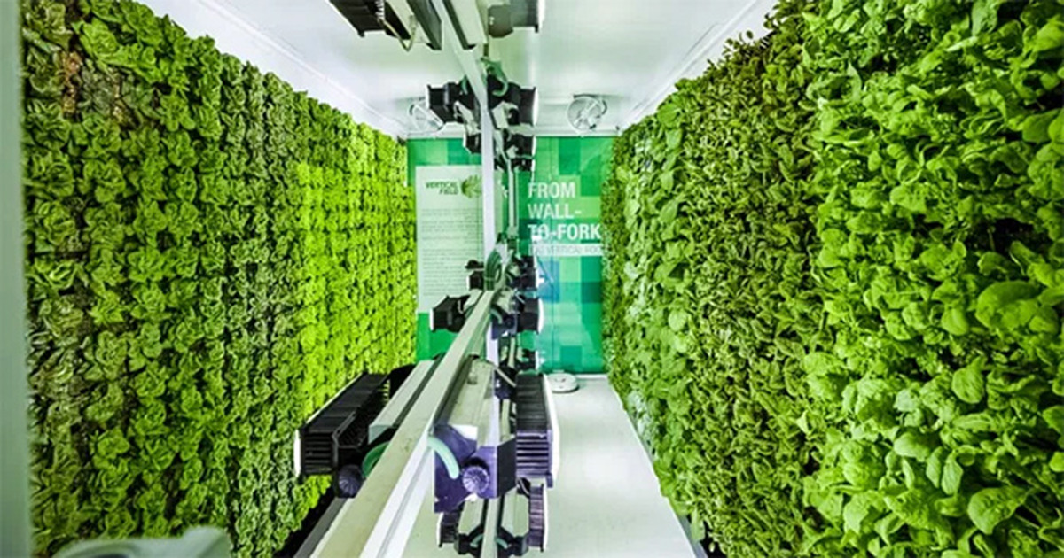 A look at geoponic technology for vertical farming