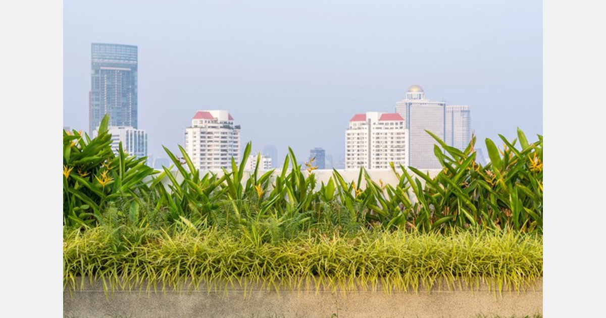 Integrating vertical farms to establish sustainable vertical ...