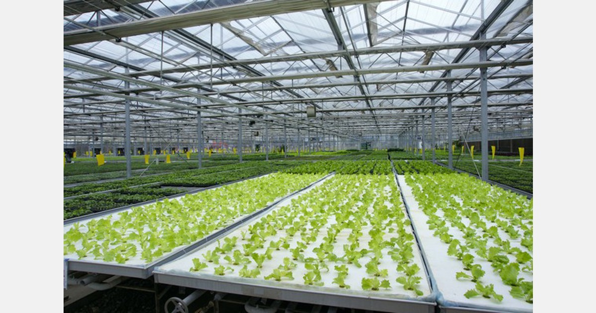 Solar-powered IoT-based smart hydroponic nutrition management system ...