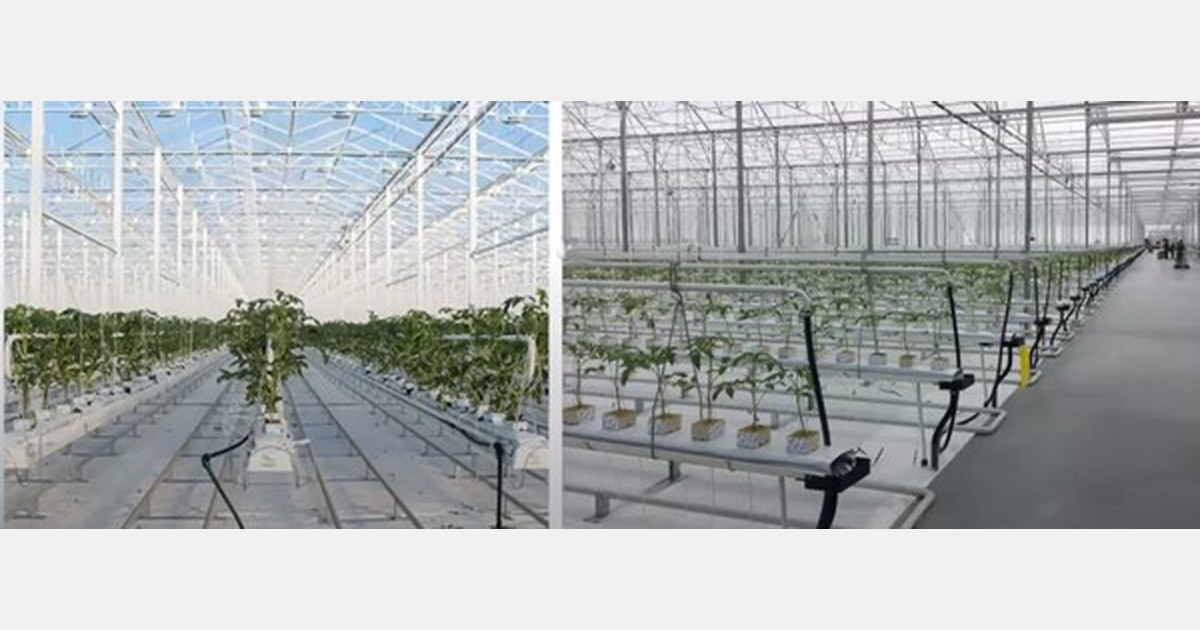 Standardization vs. customization