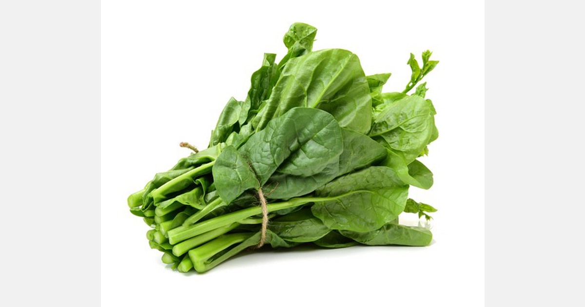 Utilization of liquid organic fertilizer coffee dregs as hydroponic ...