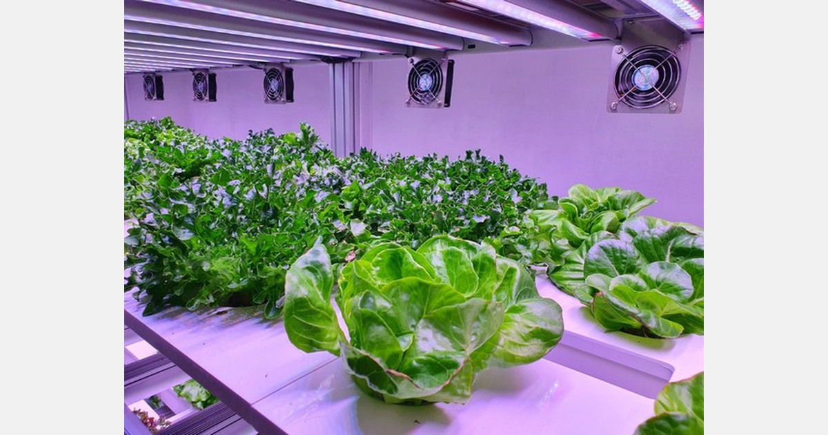 How viable is vertical farming?