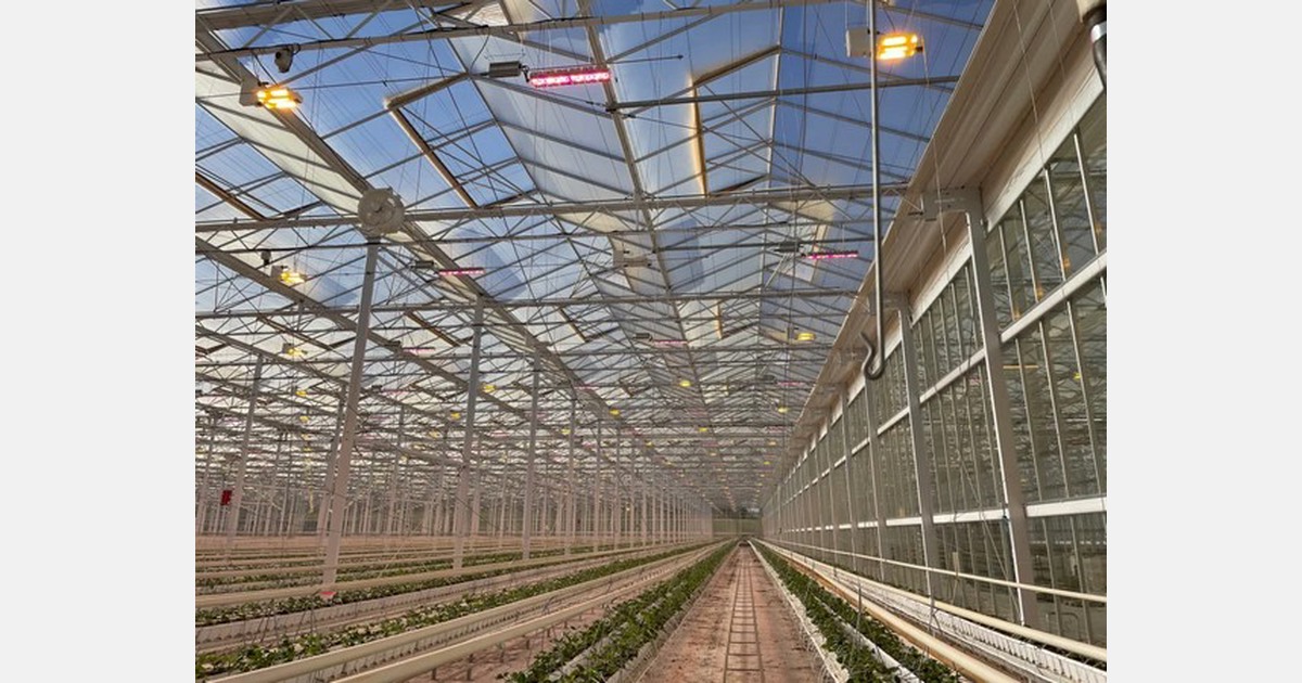 REAP funding remains frozen after release of 20 mln USDA funds