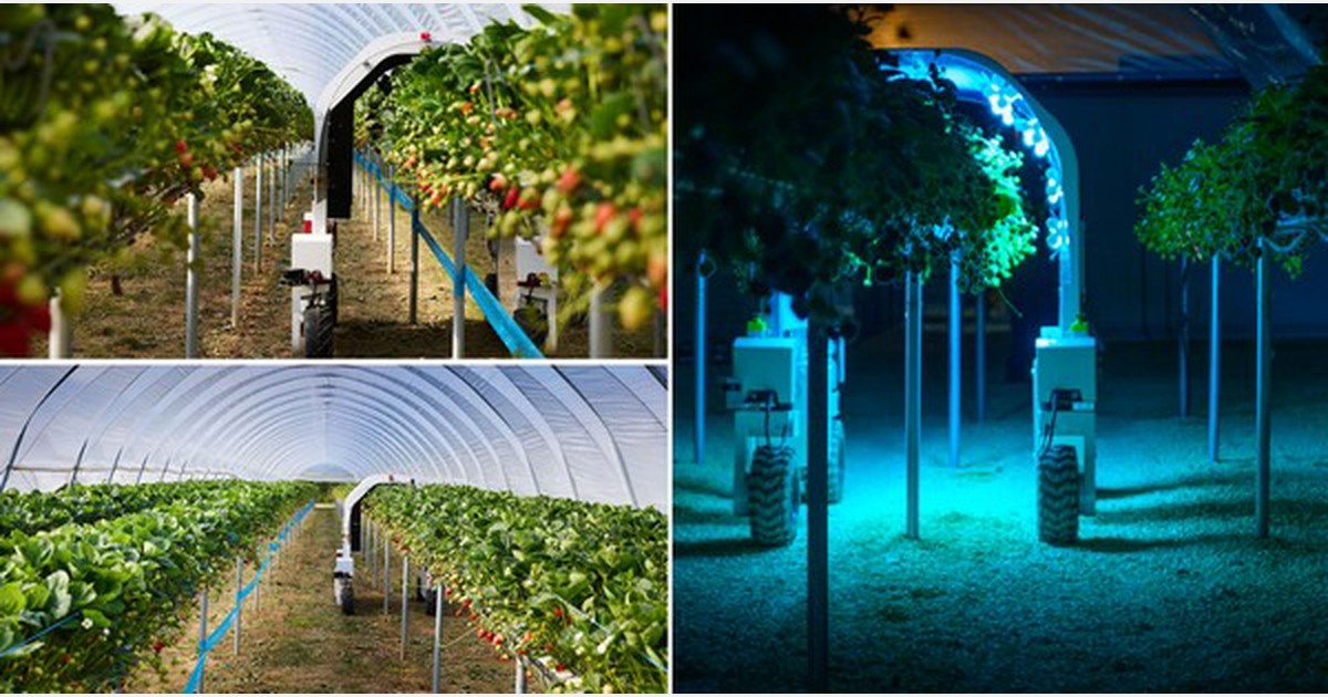 Saga Robotics looks back on last year