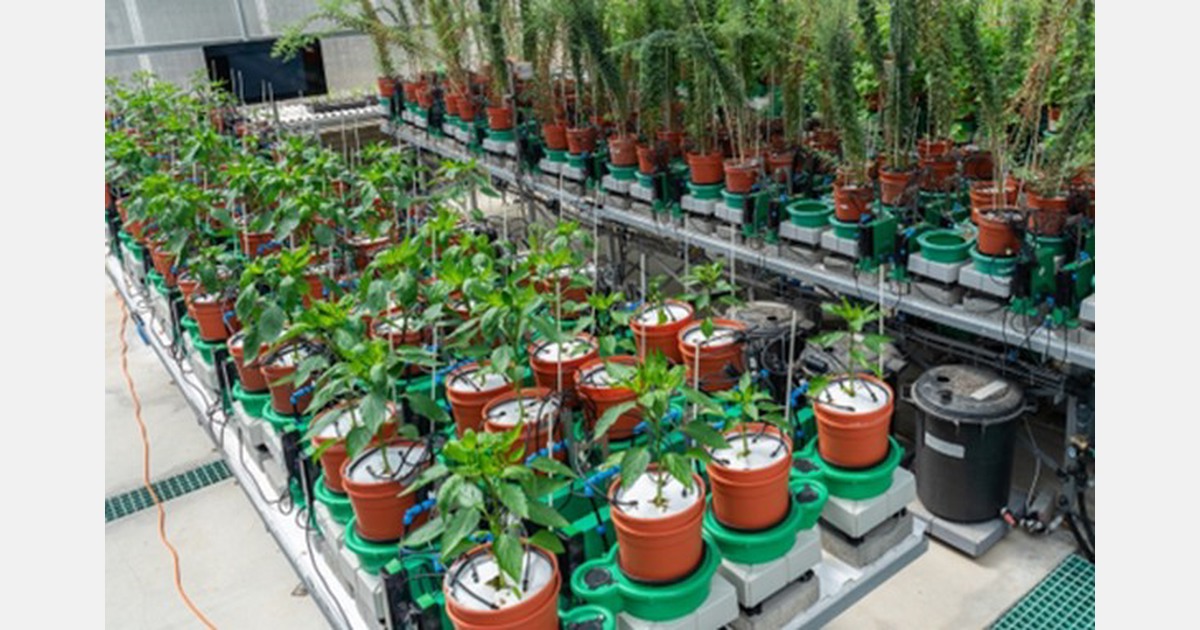 Israeli company develops effortless simultaneous plant function ...