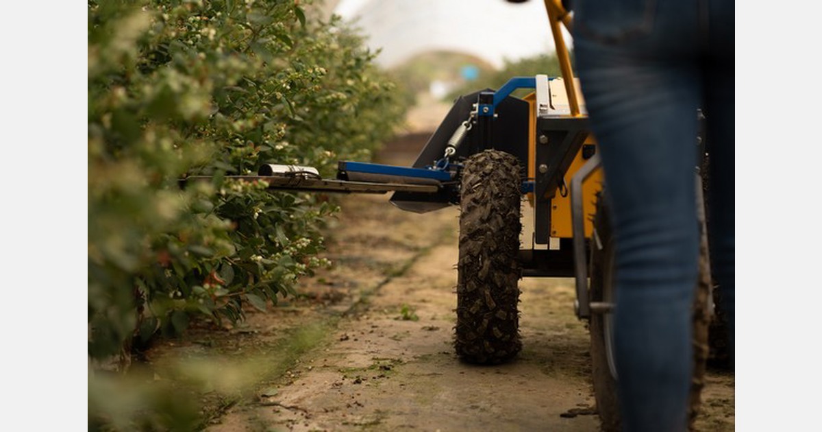 Increased productivity and control through artificial pollination