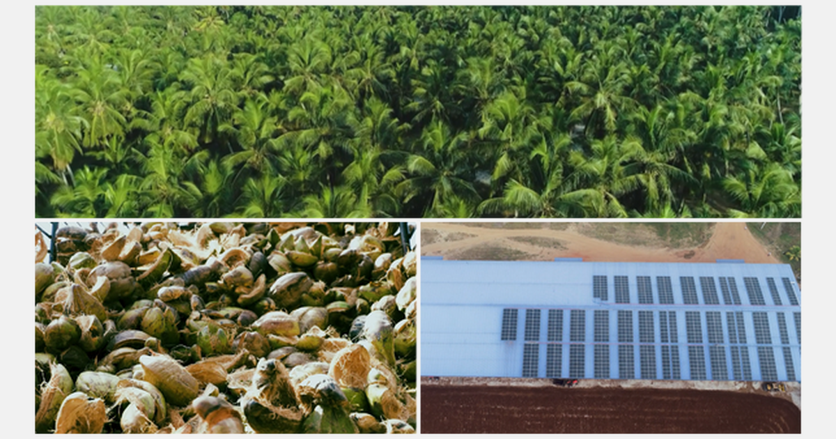 New 100% coco growing medium introduced