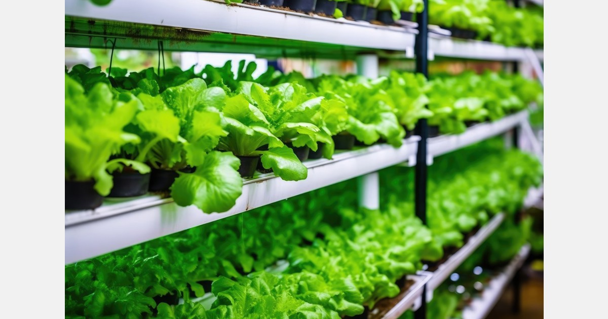 Enhancing cold plasma activation for vertical growing