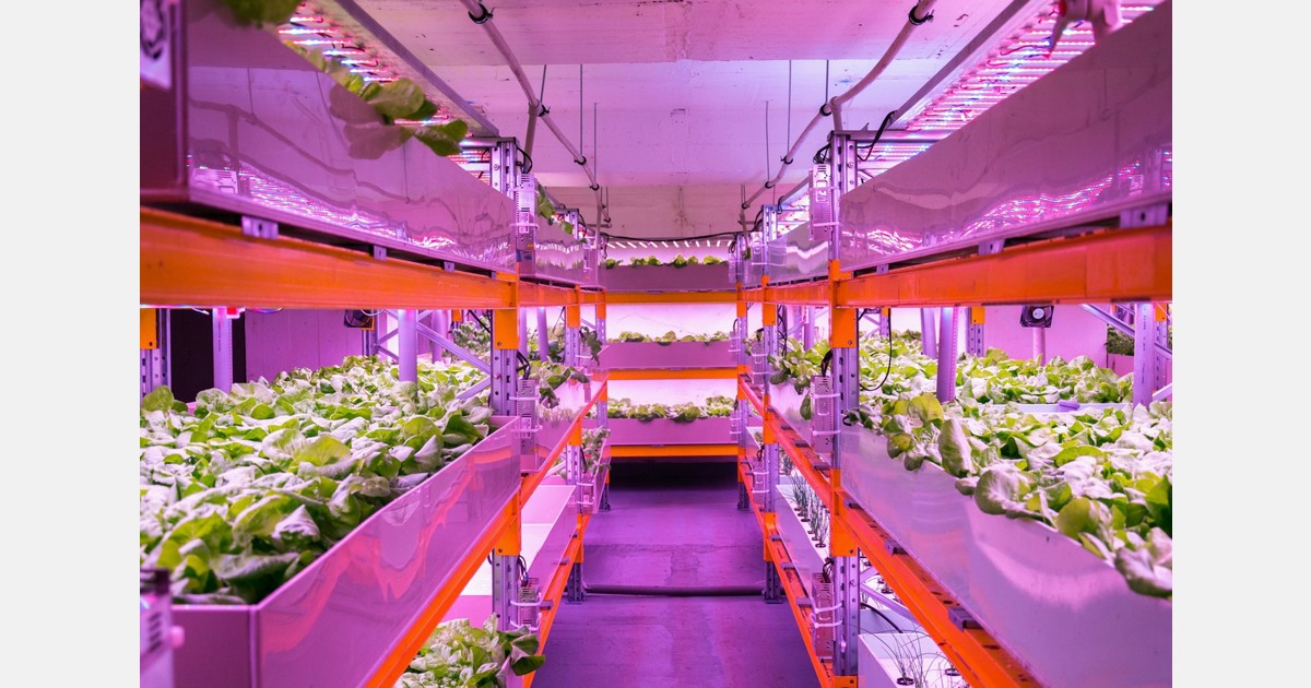 US: Ohio University completes installation of two vertical farms