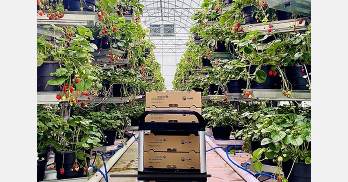 Affinor Growers completes second vertical farming IP acquisition