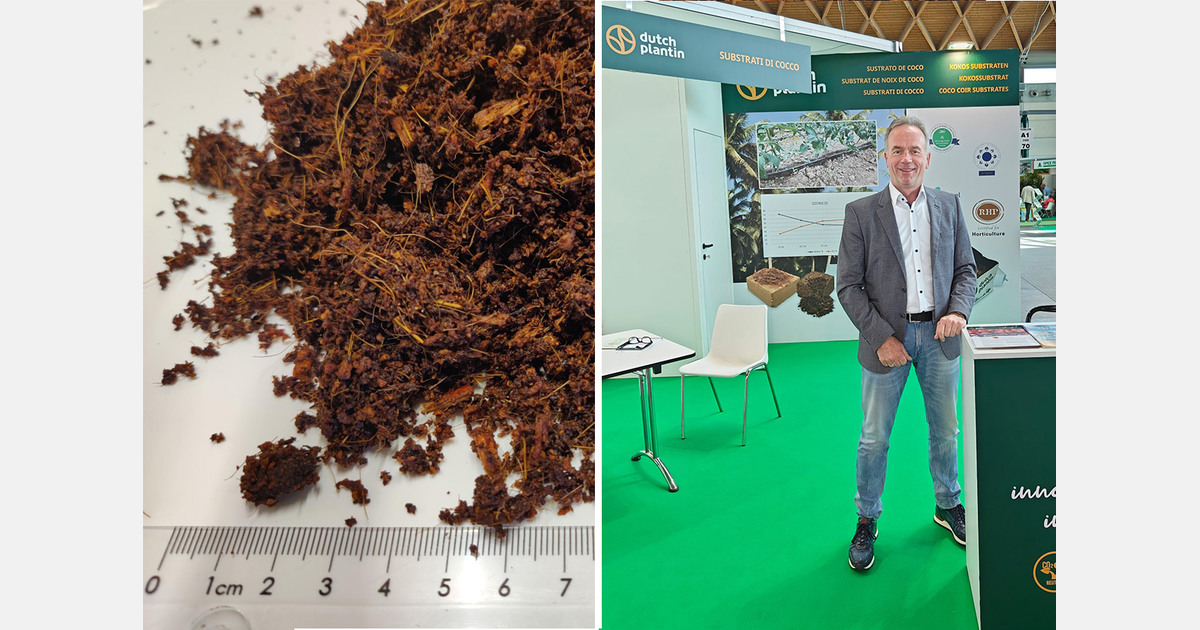 Microchips in coconut substrate for increased rootable volume