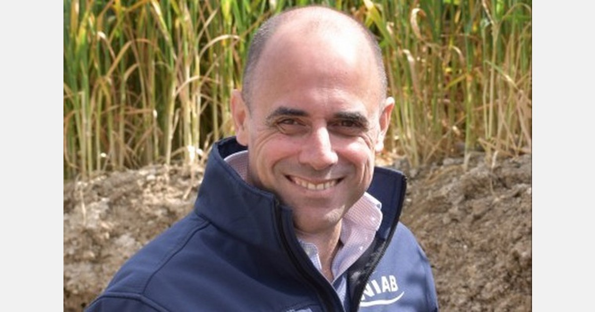 US: NIAB chief urges next Government to prioritize implementing rules ...