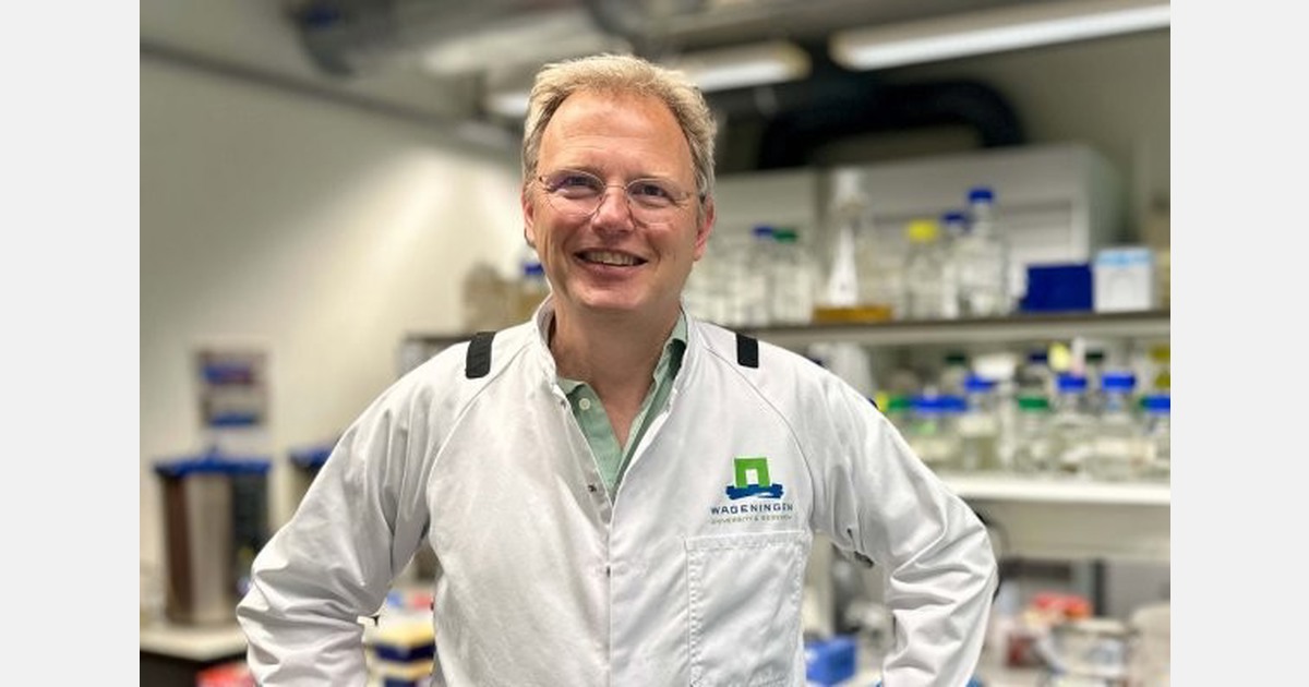 NL: Plant researcher René Geurts elected EMBO member