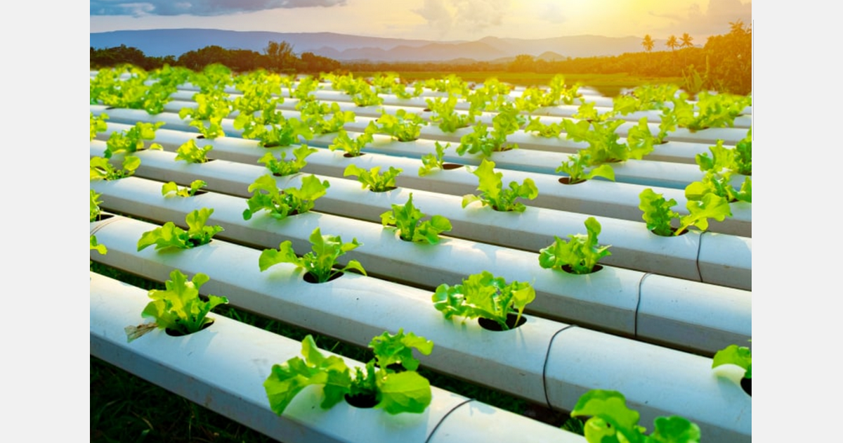 GrowGeneration unveils three new product lines to aid growers