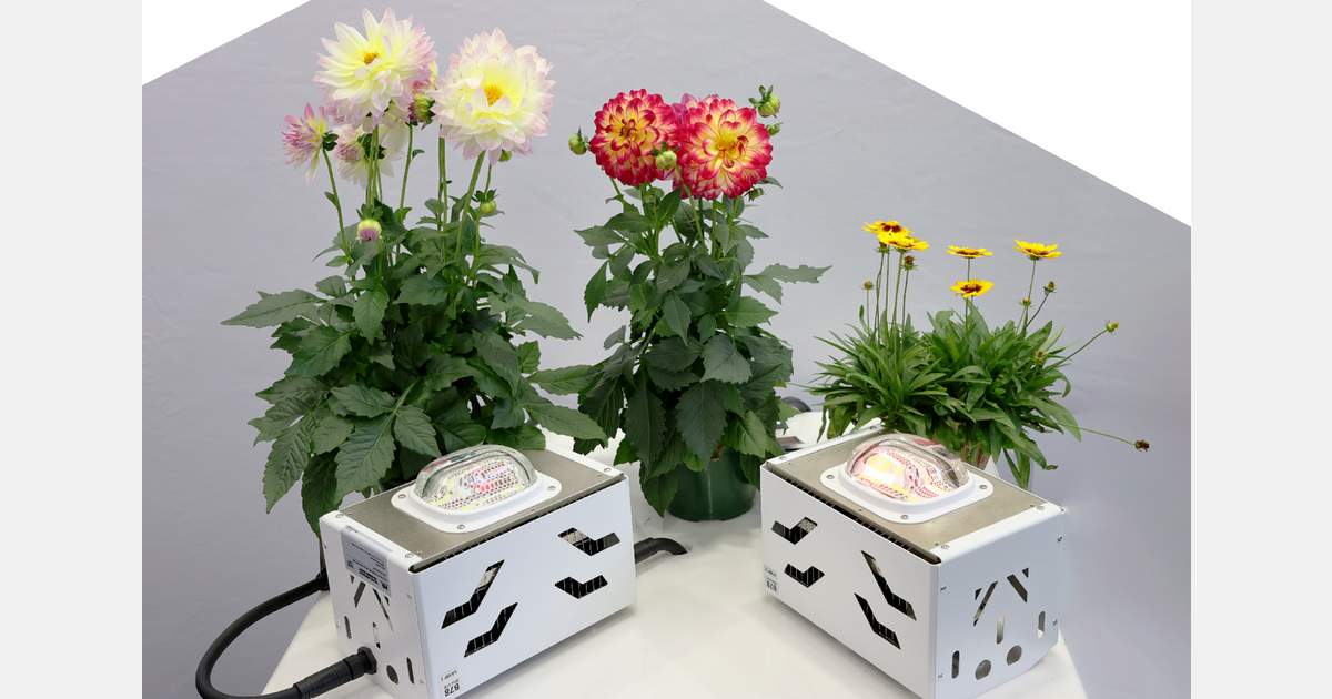 CAN: Using Ontario's rebate system to your advantage