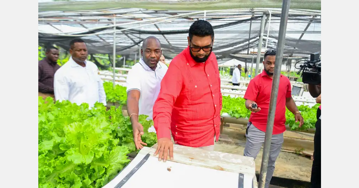 Guyanese president visits model hydroponics farm, encourages youth to ...