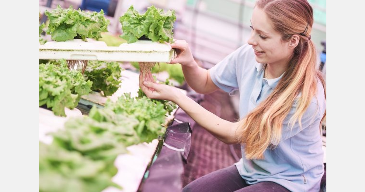 NL: WUR masterclass to aid with soilless growing