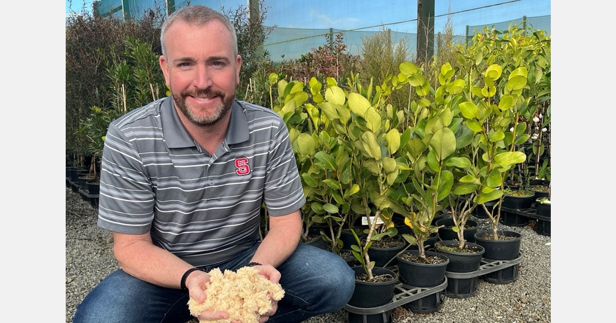 UC Davis-led webinar series on precision water and nutrient management in CEA