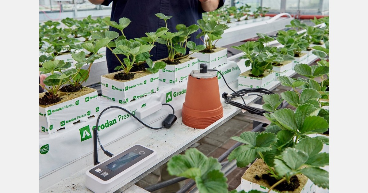 Canadian researchers enter final phase of Agri-Food Challenge