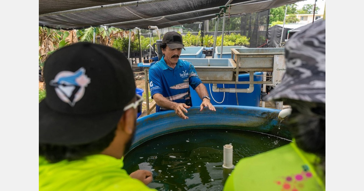 University of Guam launches second cohort of Community Backyard ...