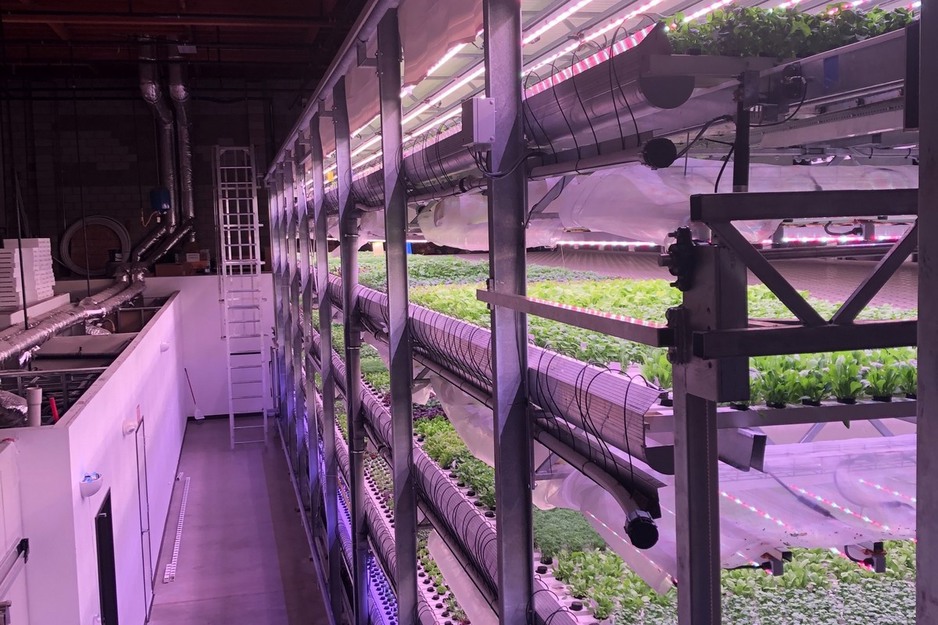 US: Scalable vertical herb farm hits the market following relocation