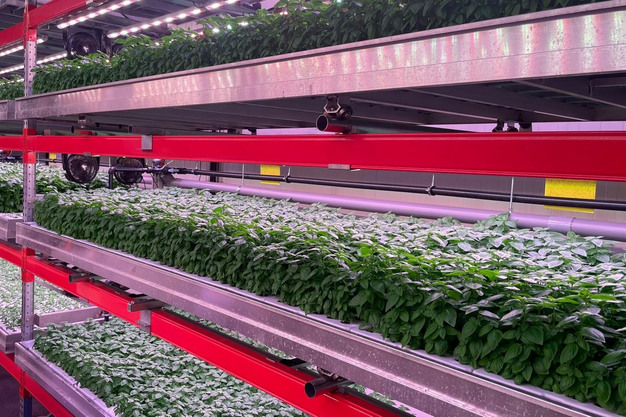 “If OPEX is not controlled, the model is not sustainable”