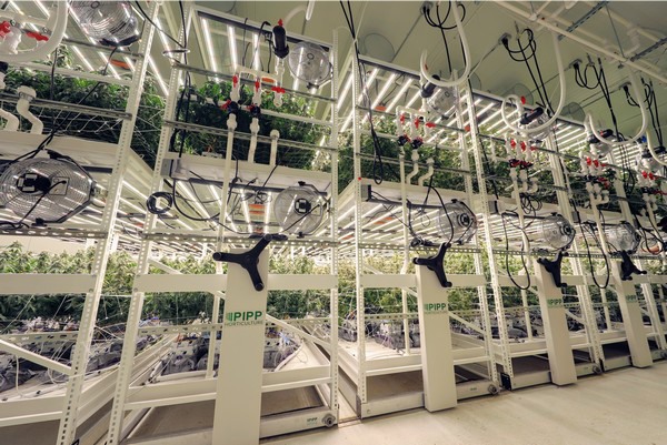 Overcoming the hurdles of switching to a vertical racking system