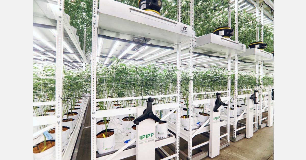 Why airflow is crucial in vertical farms
