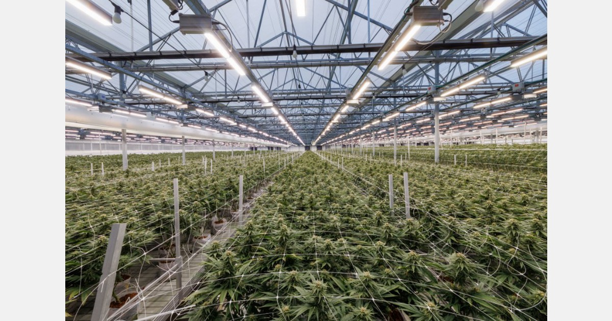 What is light spectrum vs intensity and why are they important?