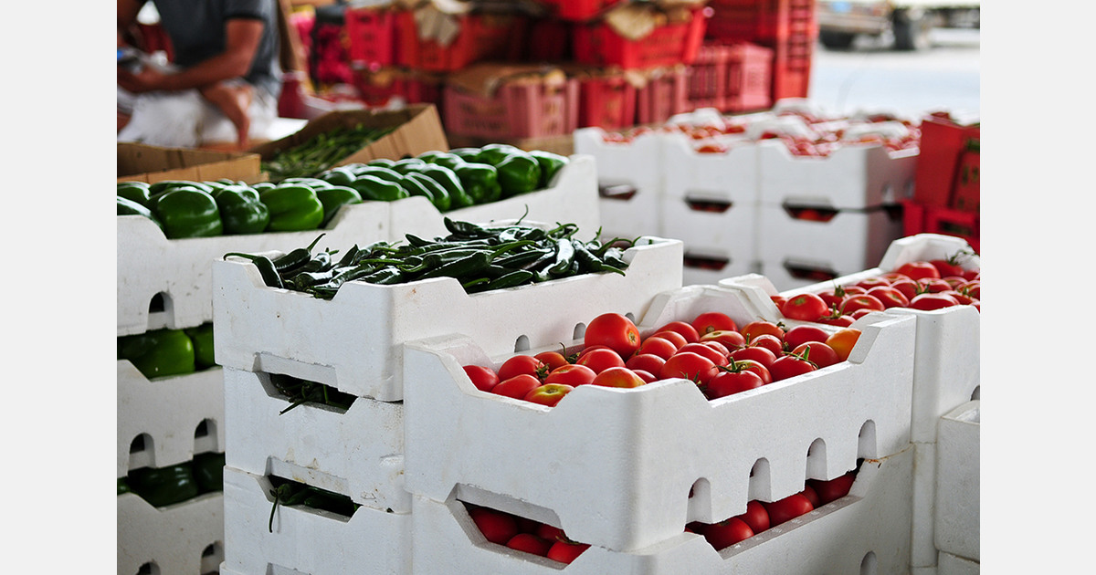 Sormac to showcase precision vegetable processing technology at a double round of shows