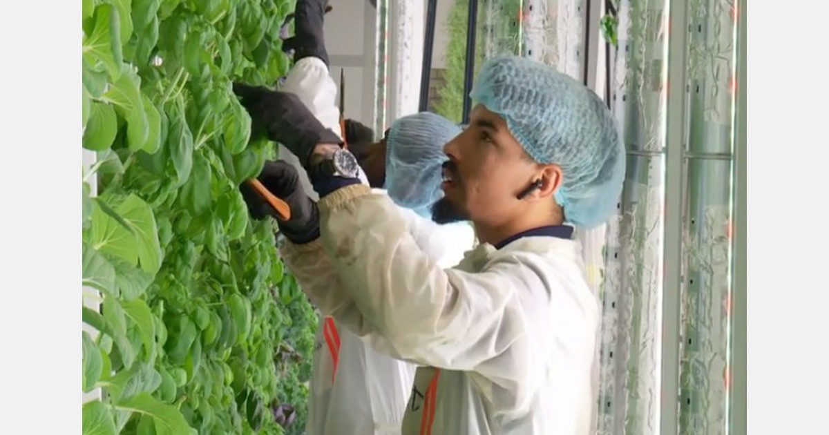 Leo Marcelis talks at Al Jazeera on vertical farming