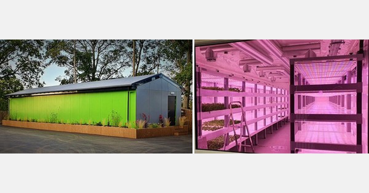 UK building specialist launches modular vertical farm
