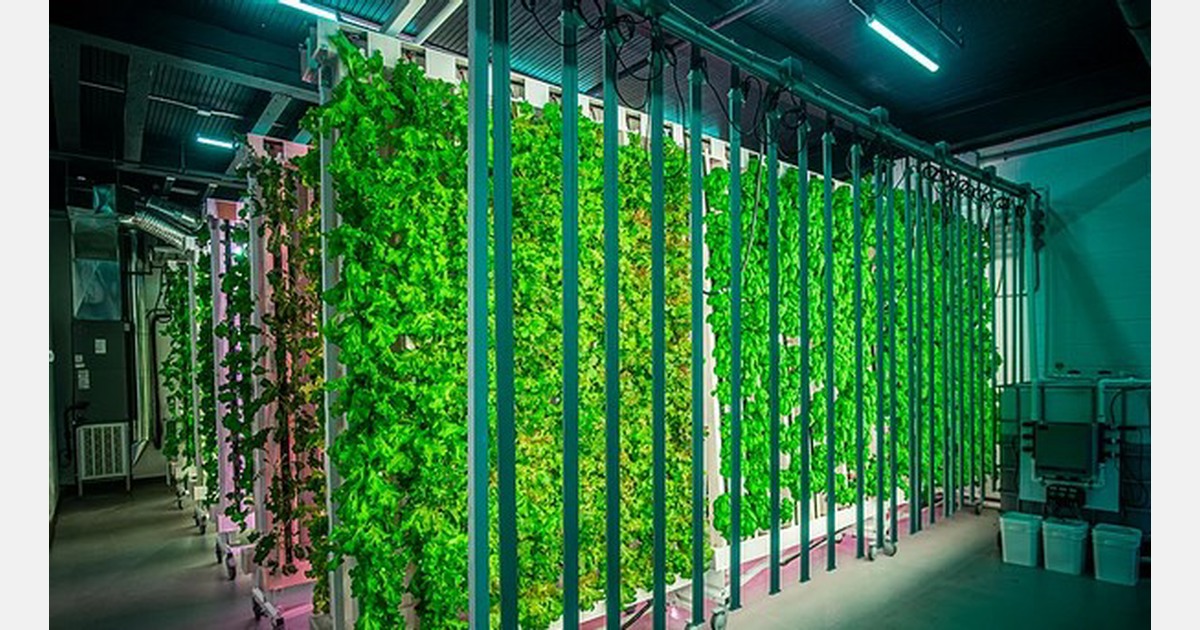 Ag-tech company orders first vertical farm installation