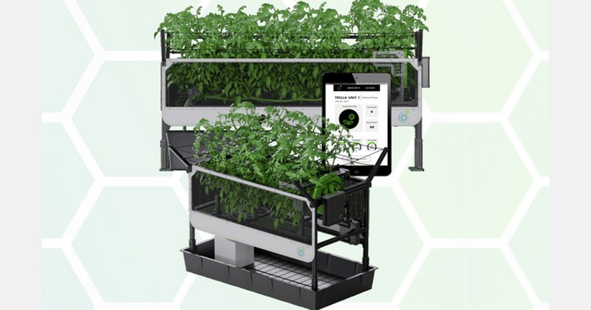 Patent for US horizontal plant training technology
