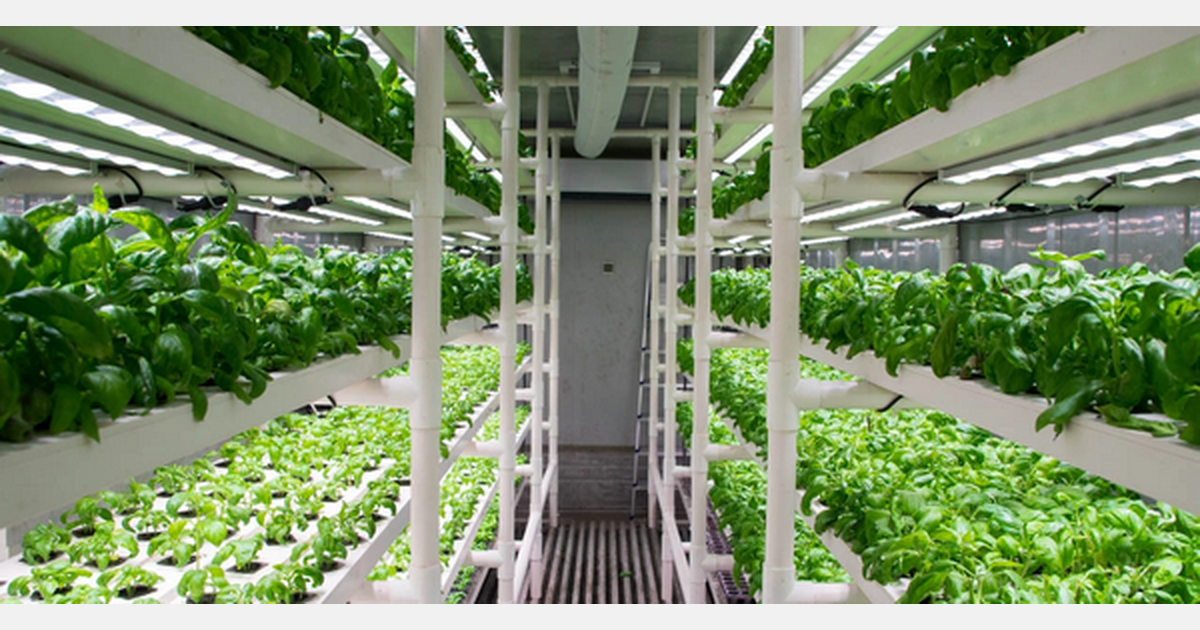 Phillipines: Future Fresh has become the middleman between farmer and ...