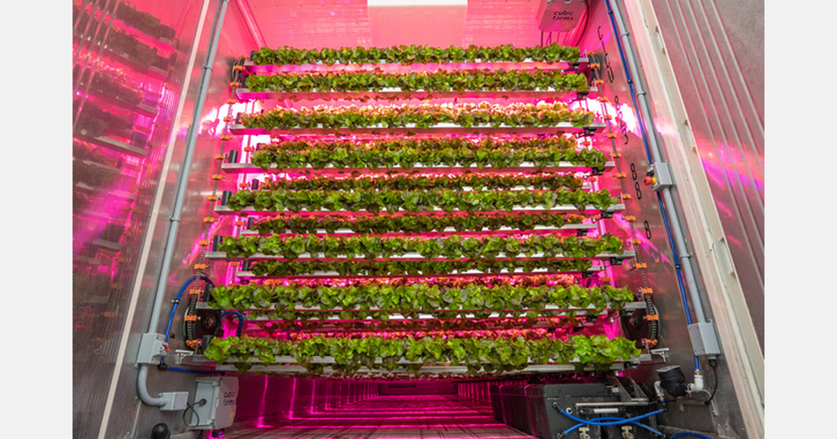 CubicFarm expands into Australia